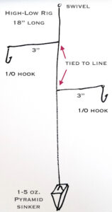 How to Catch Sheepshead Fish? (Huge Fishing Guide)